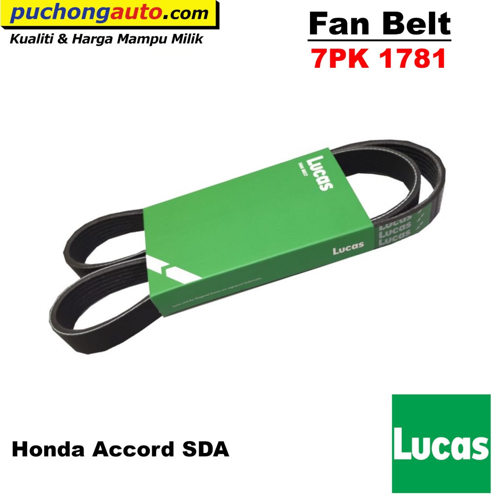 Fan Belt 7PK1781 - Honda Accord SDA 2.0 2.4 - Original Lucas - Car ...