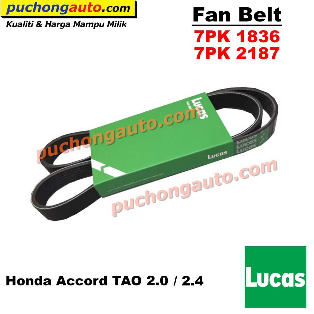 Fan Belt 7PK1836 / 7PK2187 - Honda Accord TAO 2.0 2.4 - Original Lucas ...